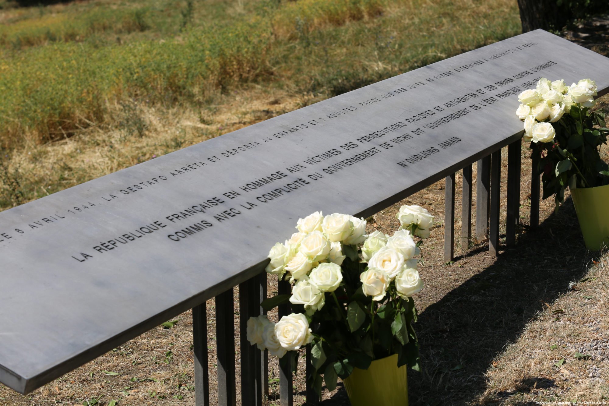 Hommage à Léa Feldblum lors de la journée internationale de la Mémoire ...
